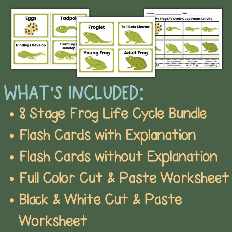 Frog Life Cycle Bundle Worksheet and Cards Cut & Paste Activity Flash ...
