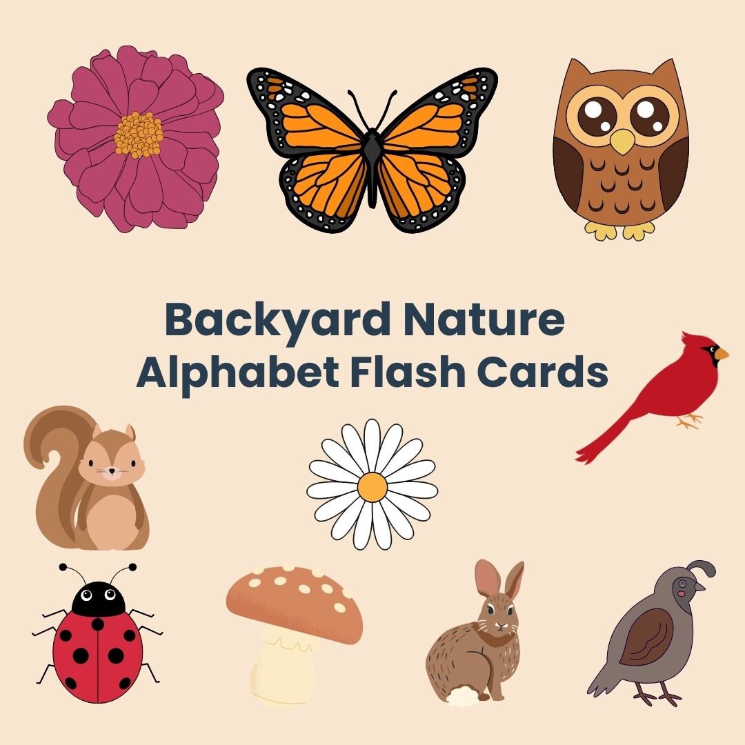 Nature Alphabet Flash Cards Backyard Nature ABC Cards Preschool ...