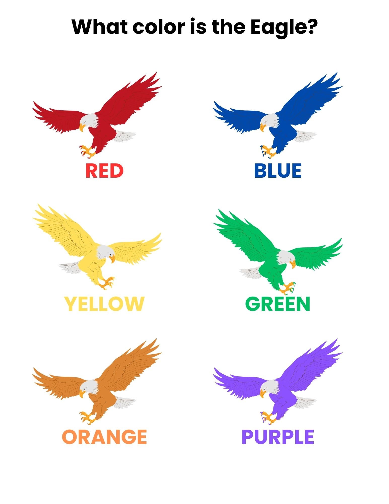 E is for Eagle Preschool Learning Pack Pre-k Homeschool Workbook ...