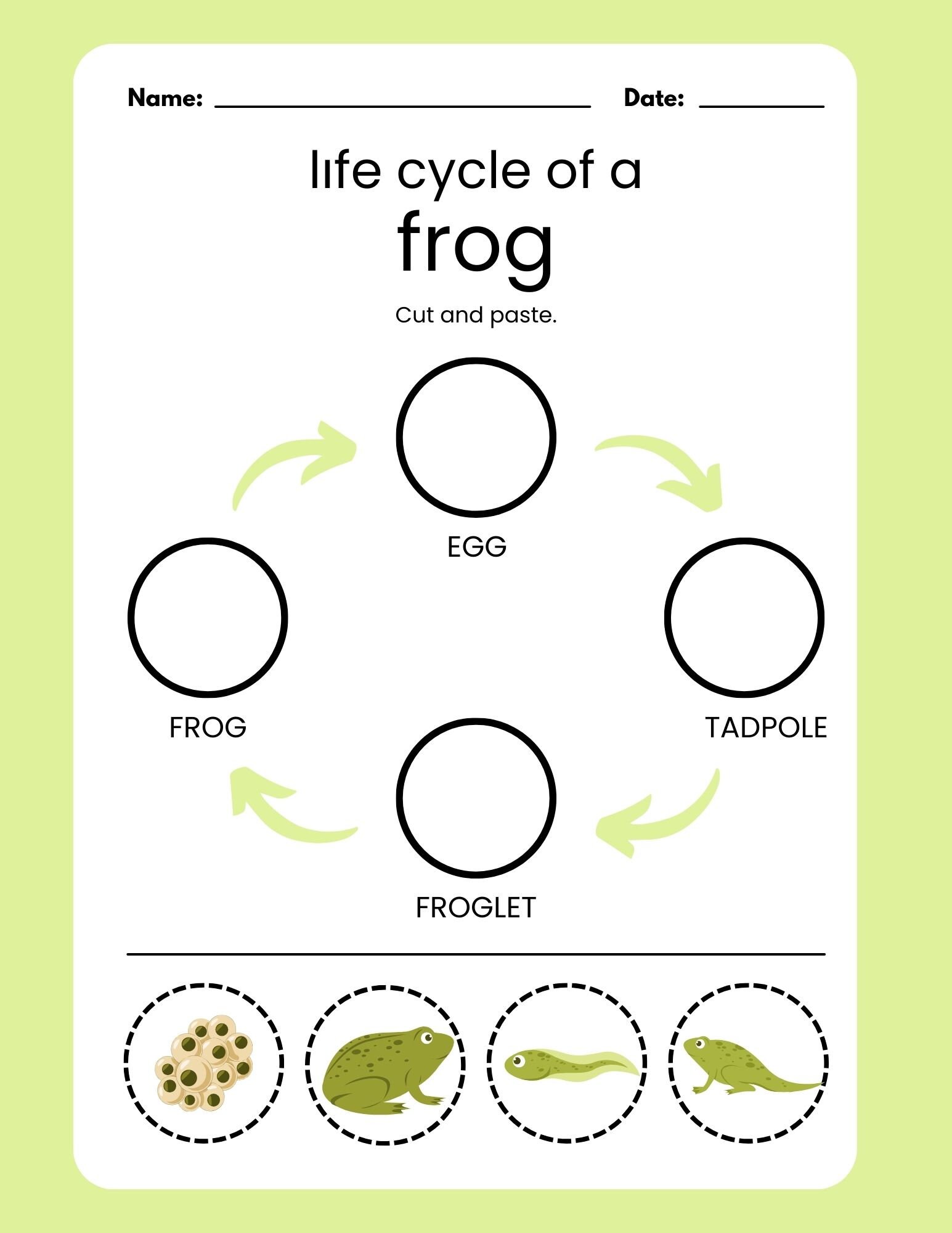 Frog Preschool Activity Sheets Frog Theme F is for Frog Activities ...