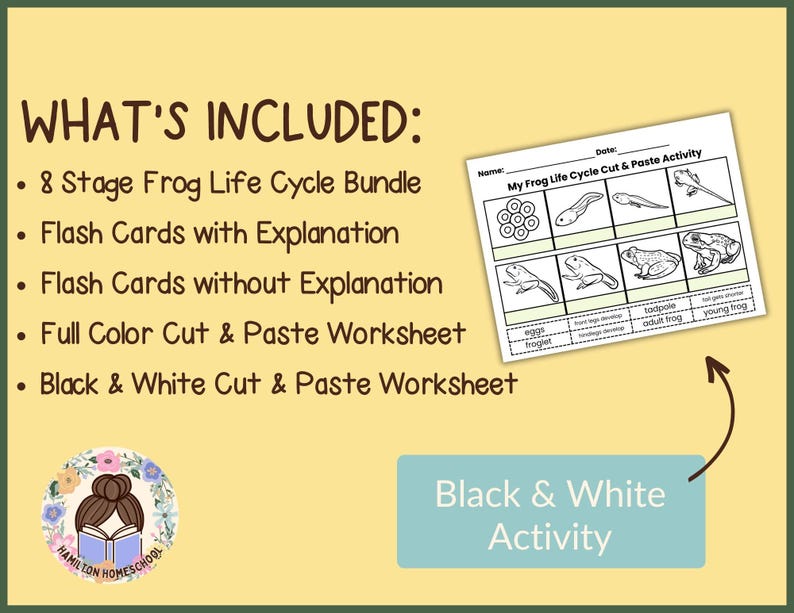Frog Life Cycle Bundle Worksheet and Cards Cut & Paste Activity Flash ...