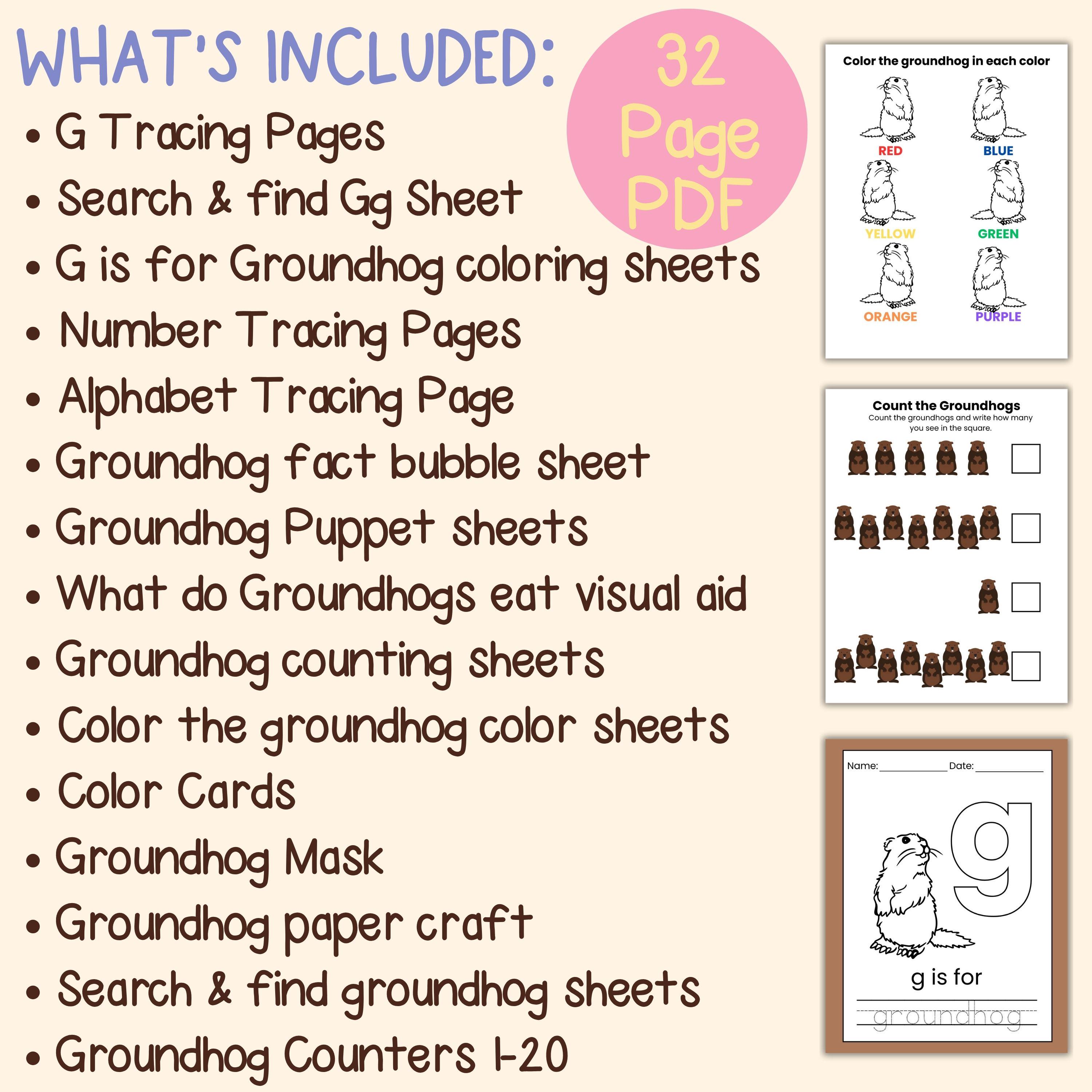 Groundhog Preschool Activity Bundle Worksheets Kindergarten Workbook ...