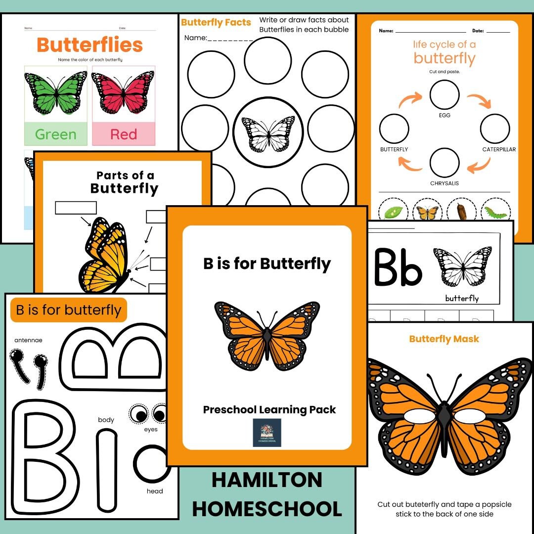 Butterfly Preschool Activity Sheets B is for Butterfly Pre-k Workbook ...