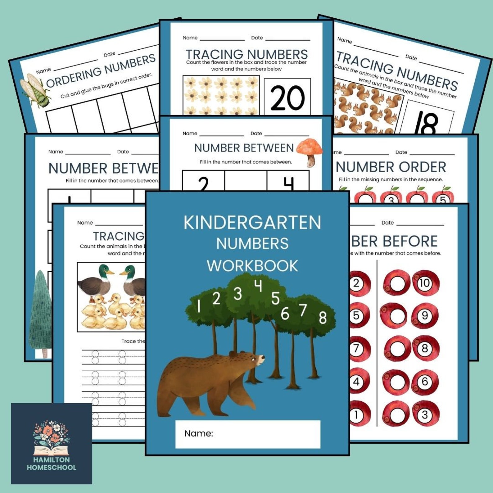 Kindergarten Numbers Workbook Forest Theme Math Counting Activity Book ...