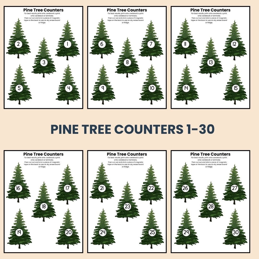 Pine Tree Preschool Activity Sheet Bundle P is for Pine Alphabet Number ...