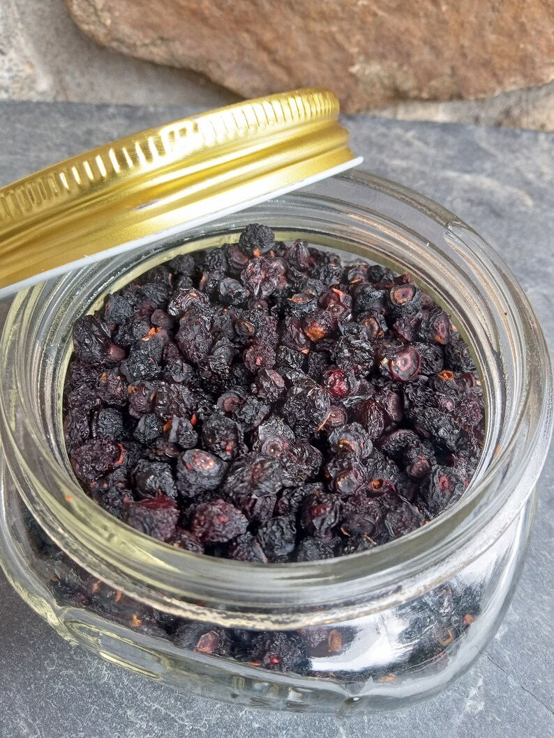 1 Gallon Unwashed Huckleberries Dehydrated | From North Idaho ...