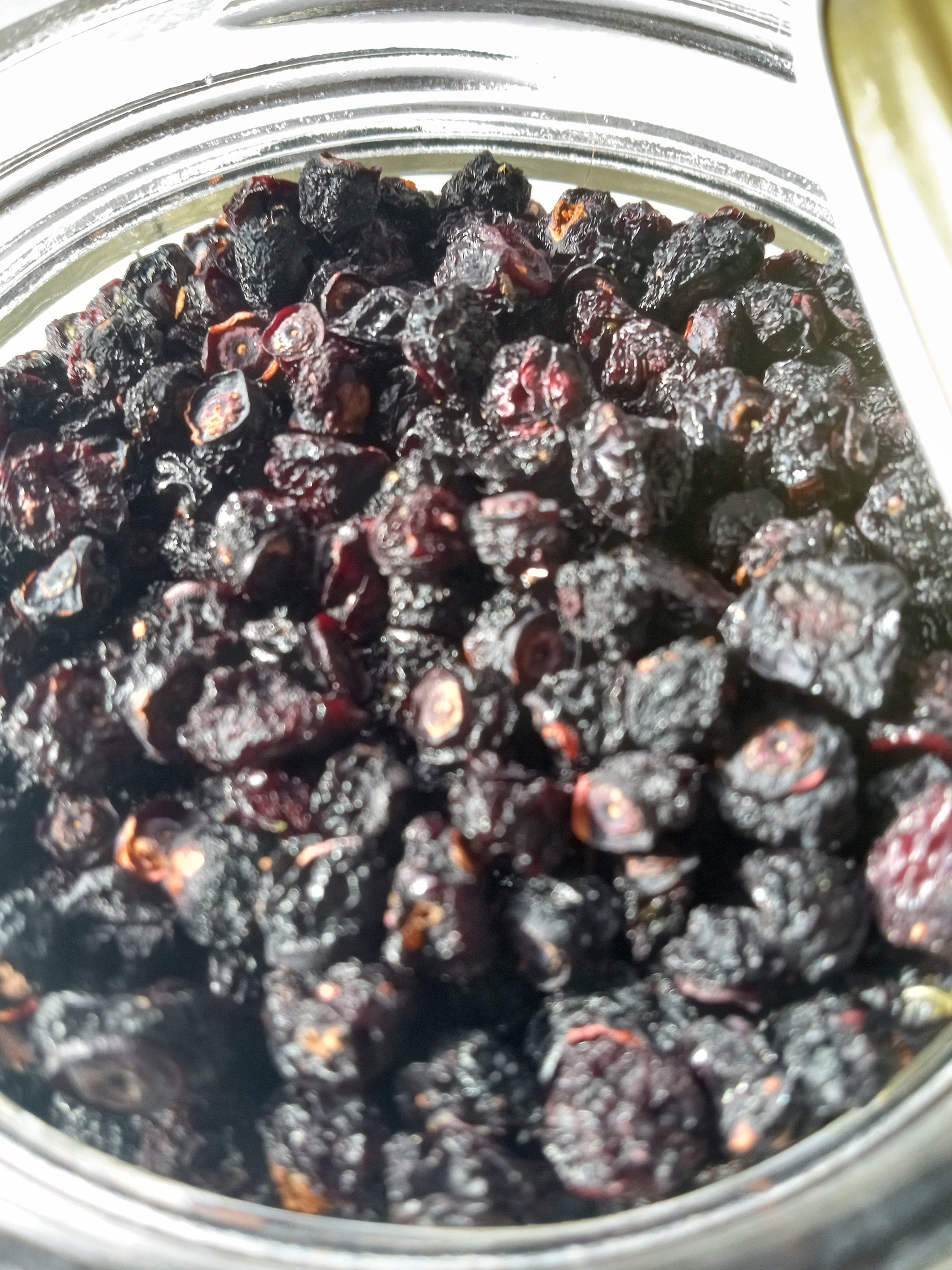 1 Gallon Unwashed Huckleberries Dehydrated | From North Idaho ...