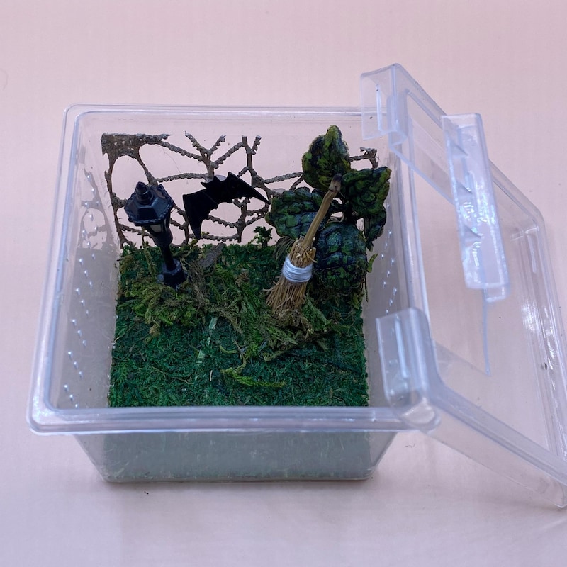 Jumping Spider Enclosure - Etsy