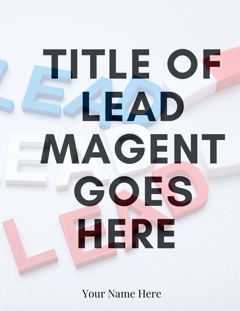 A Lead Magnet Blueprint - Everything You Need to Create Your Own Lead ...