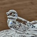 Vintage Hofbauer Bird Crystal Glass, Bird on Oval Box, Byrdes ...