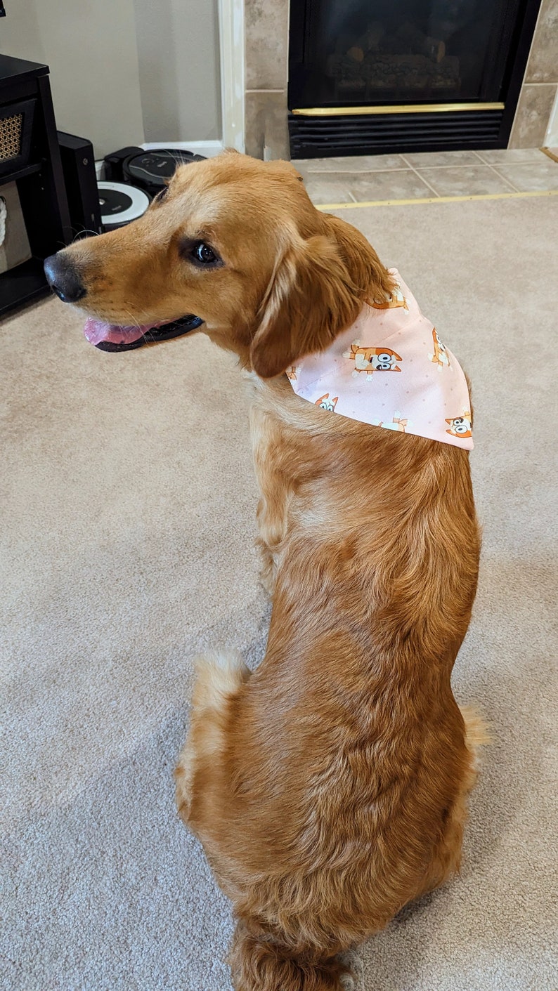 Bingo (bluey) Over the Collar Dog Bandana - Etsy