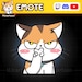Animated Cute Cat Watching You Emote for Twitch, Youtube, Discord ...