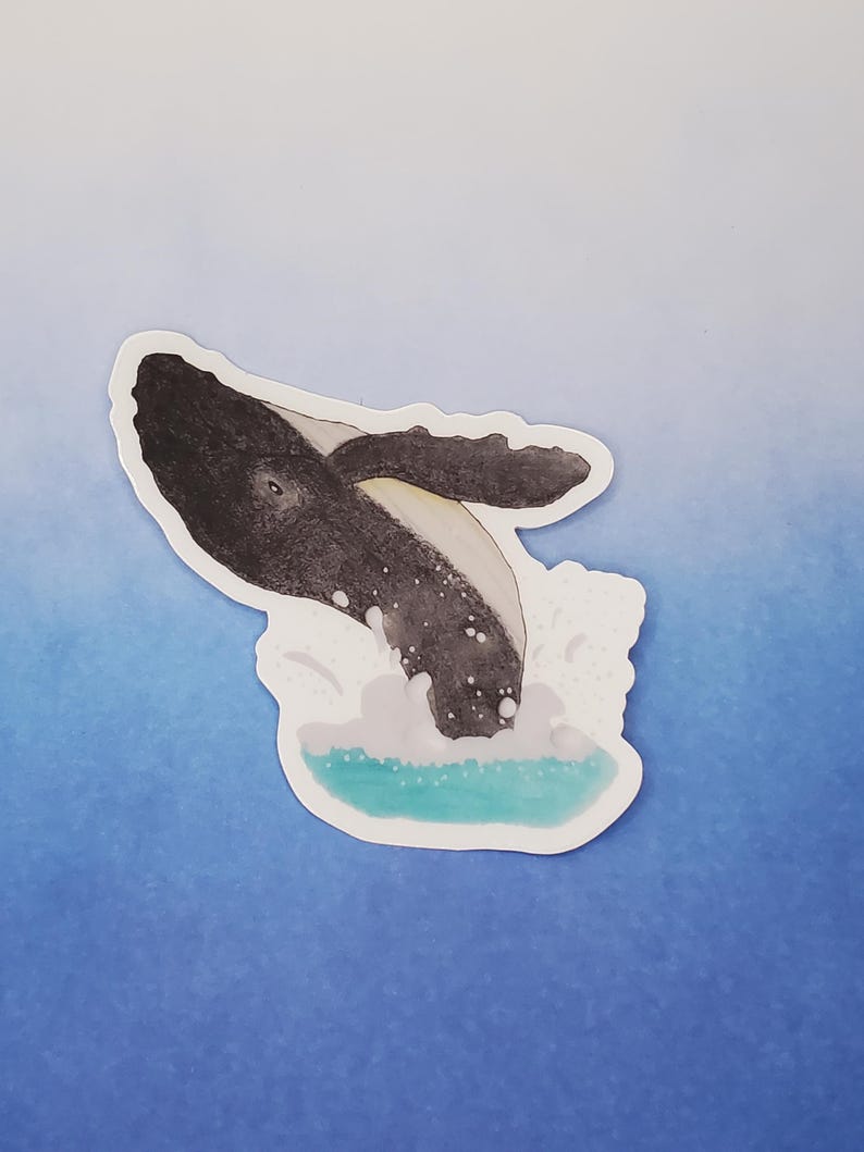 Blue Whale Sticker - Charity Sticker - Etsy
