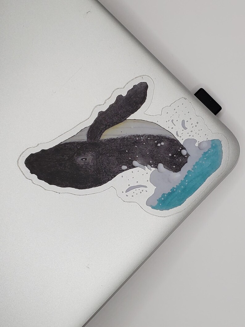Blue Whale Sticker - Charity Sticker - Etsy