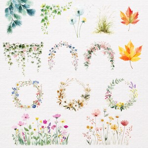 Watercolor Woodland Clipart Bundle Cute Forest Animal PNG Nursery ...