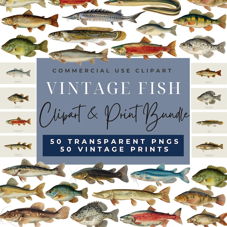 Freshwater Fish Clipart Collection 50 PNG Illustrations Watercolor Bass ...