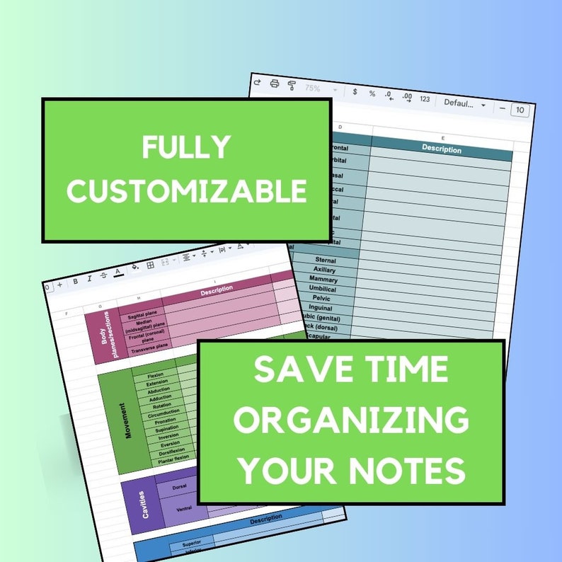 Anatomy and Physiology Notes Template | Musculoskeletal | for Medical ...