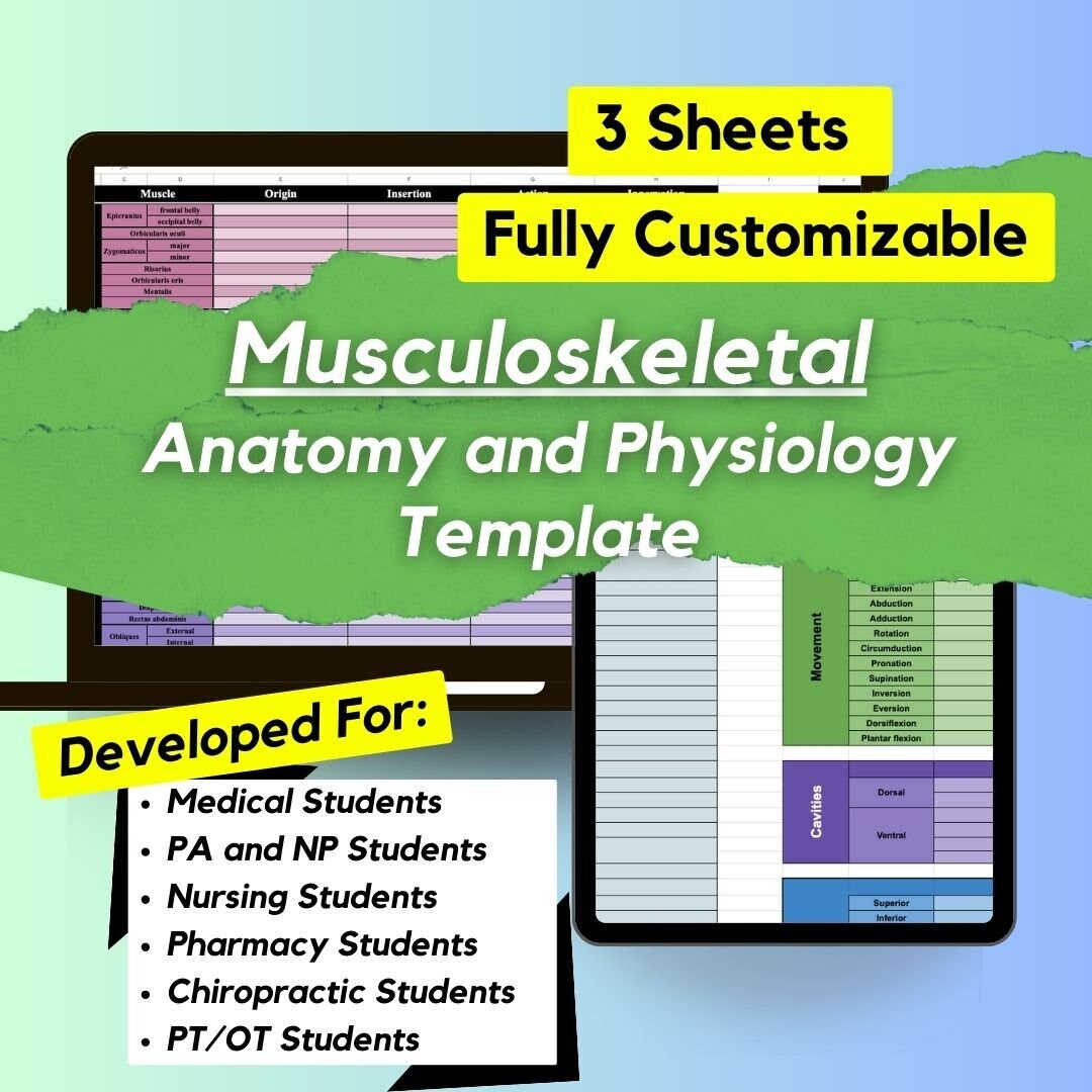 Anatomy and Physiology Notes Template | Musculoskeletal | for Medical ...