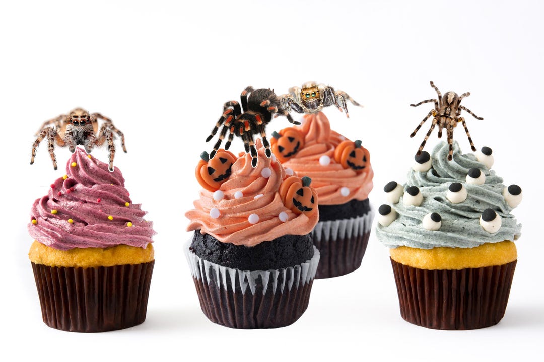 Toppers Spider Tarantula Halloween Cake Spiders Tarantulas Cutouts ...