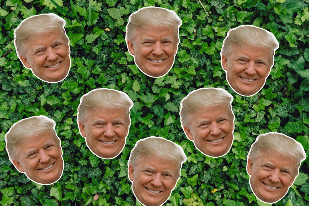 1.5" Stickers Donald Trump Presidential Election, Debate Party With ...