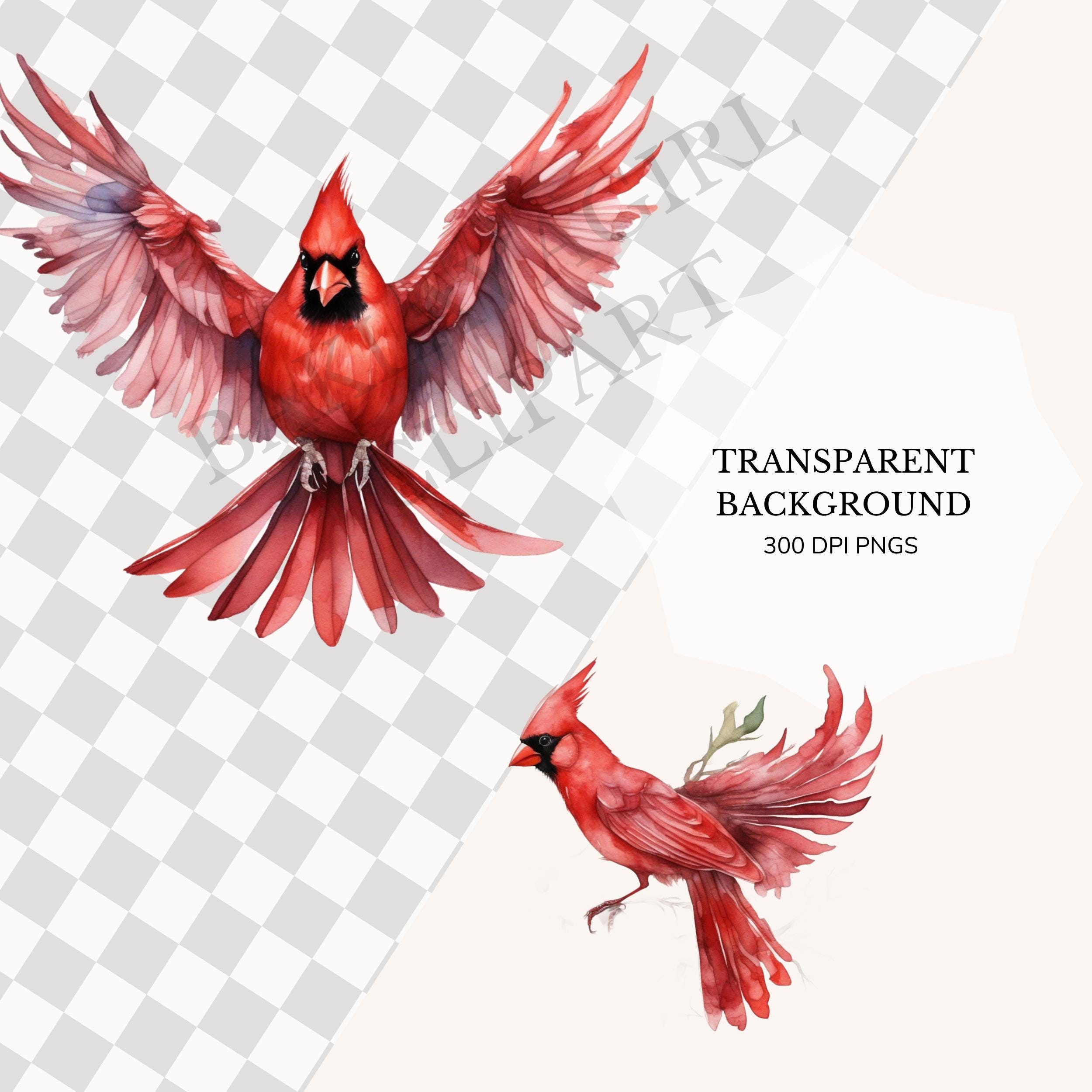 Cardinal Clipart Watercolor Cardinal Clipart Cardinal PNG Bundle Red ...