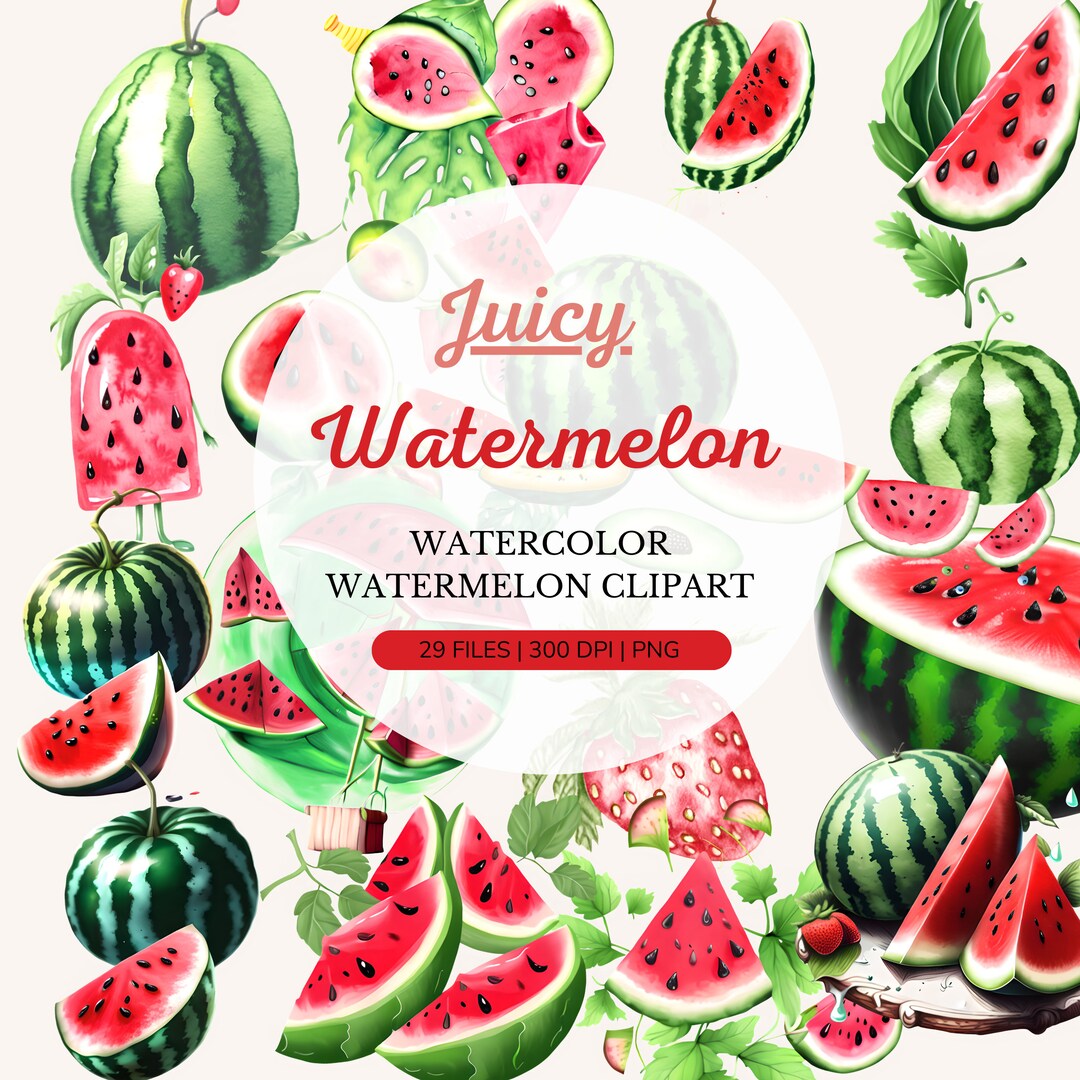 Watermelon Watercolor Clipart Bundle Summer Juicy Watermelon Refreshing