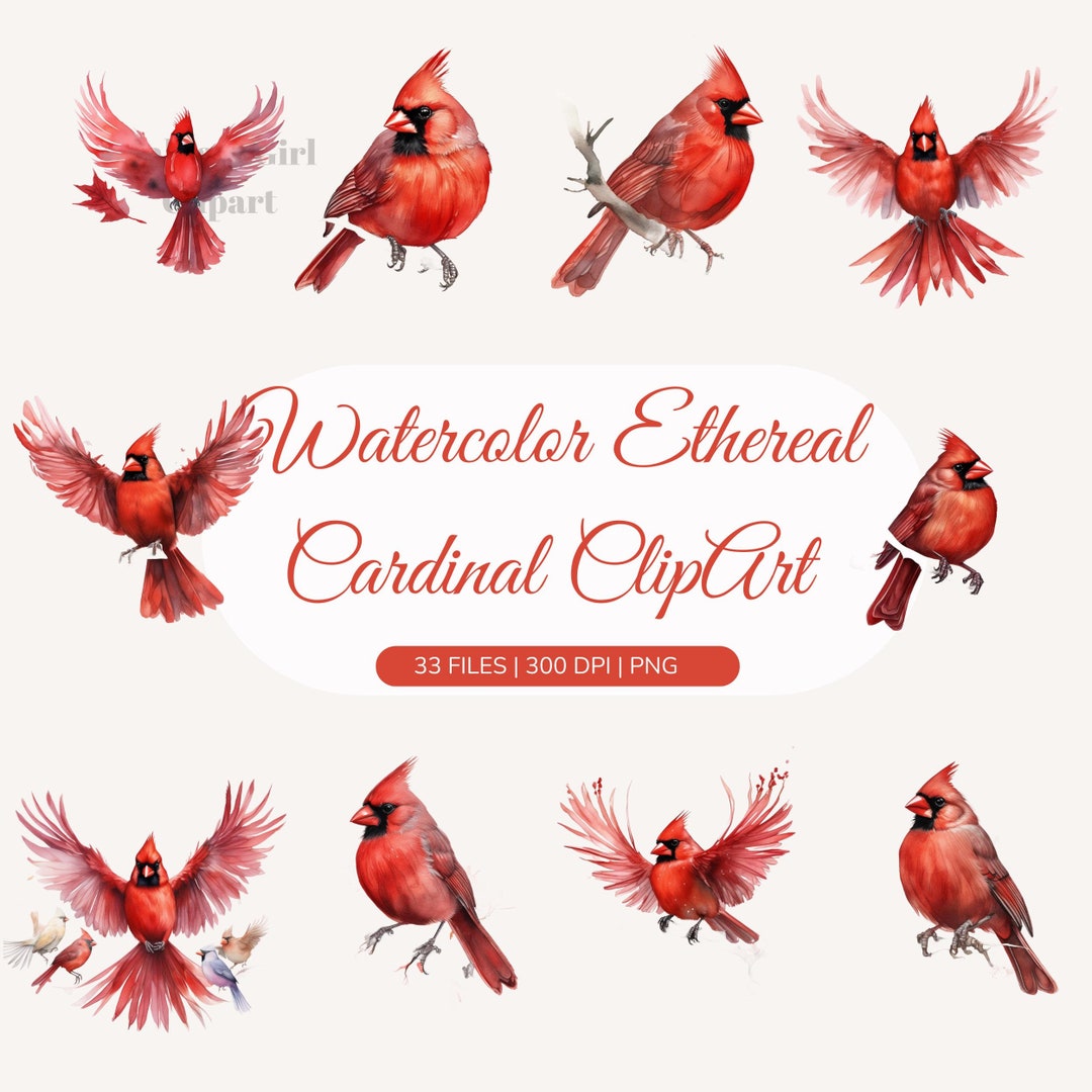 Cardinal Clipart Watercolor Cardinal Clipart Cardinal PNG Bundle Red ...