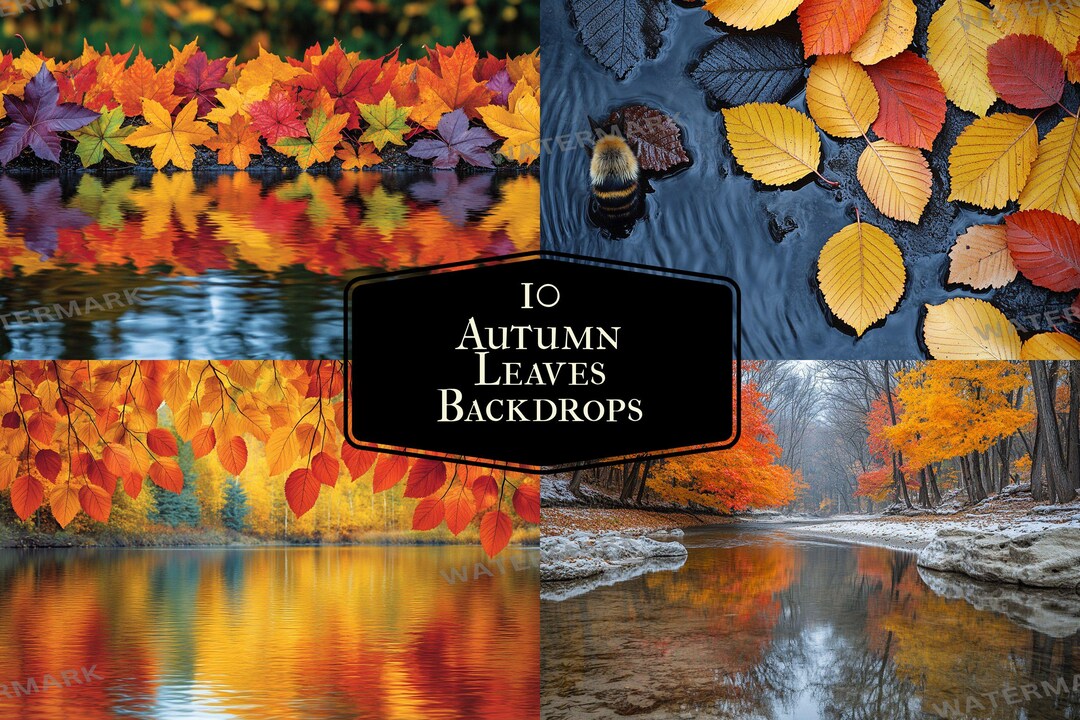 10 Autumn Leaves Backdrops - Vibrant Fall Foliage for Seasonal ...