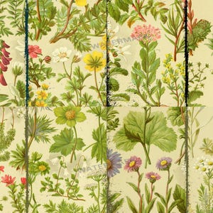 Vintage Botanical Journal Digital Paper, Antique Nature Scrapbook Pages ...