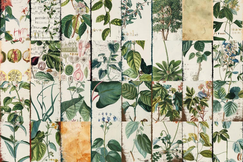 Vintage Botanical Junk Journal Printable – Foldable Double Pages for ...