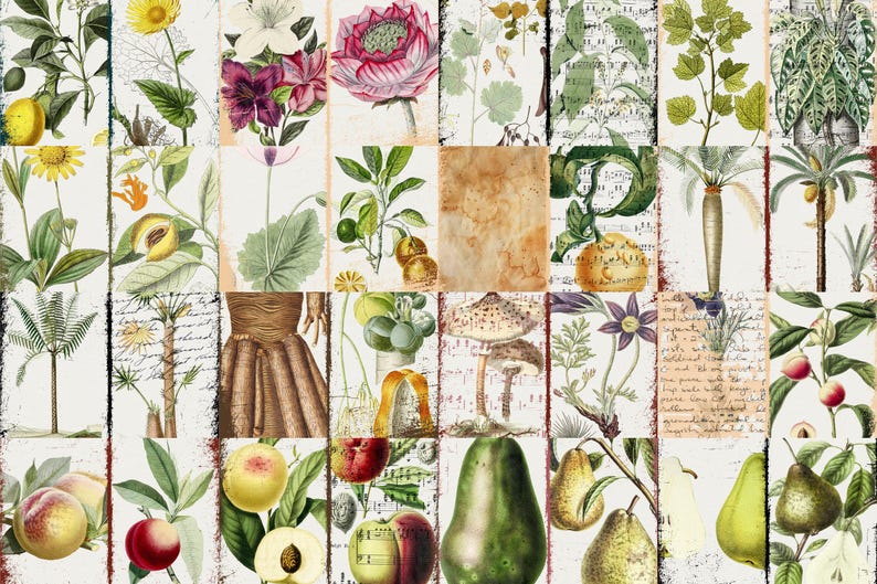 Hand-painted Vintage Botanical Collage Sheets - Scrapbook Papers - Junk ...
