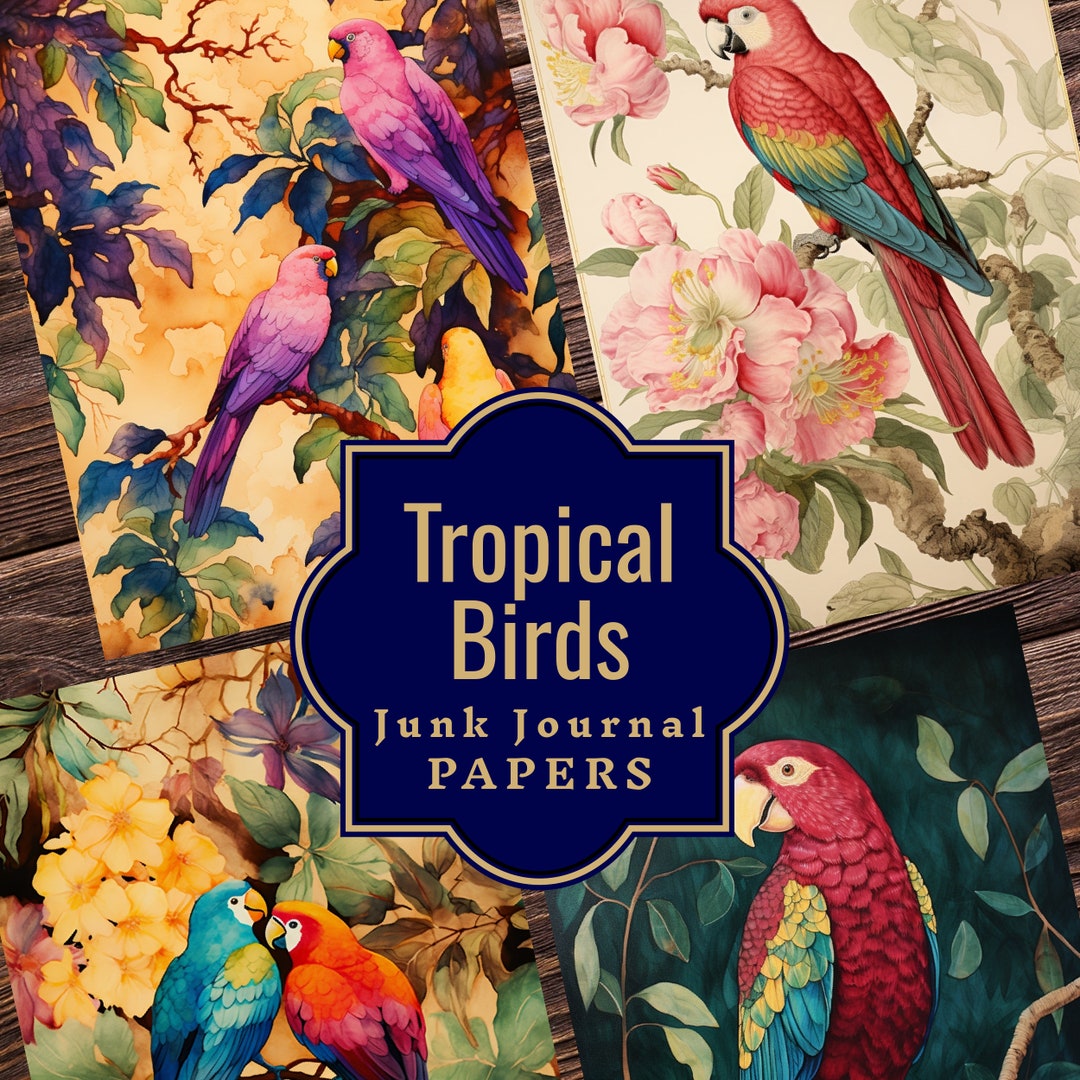 Tropical Birds Junk Journal Papers Exotic Bird Ephemera Digital Bird ...