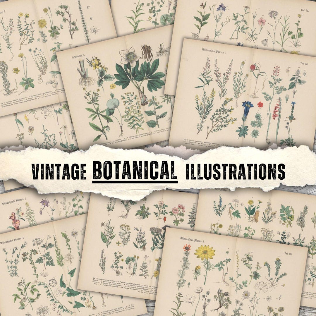 Herbs Junk Journal Kit - Herbal Botany Collage Sheet - Vintage ...