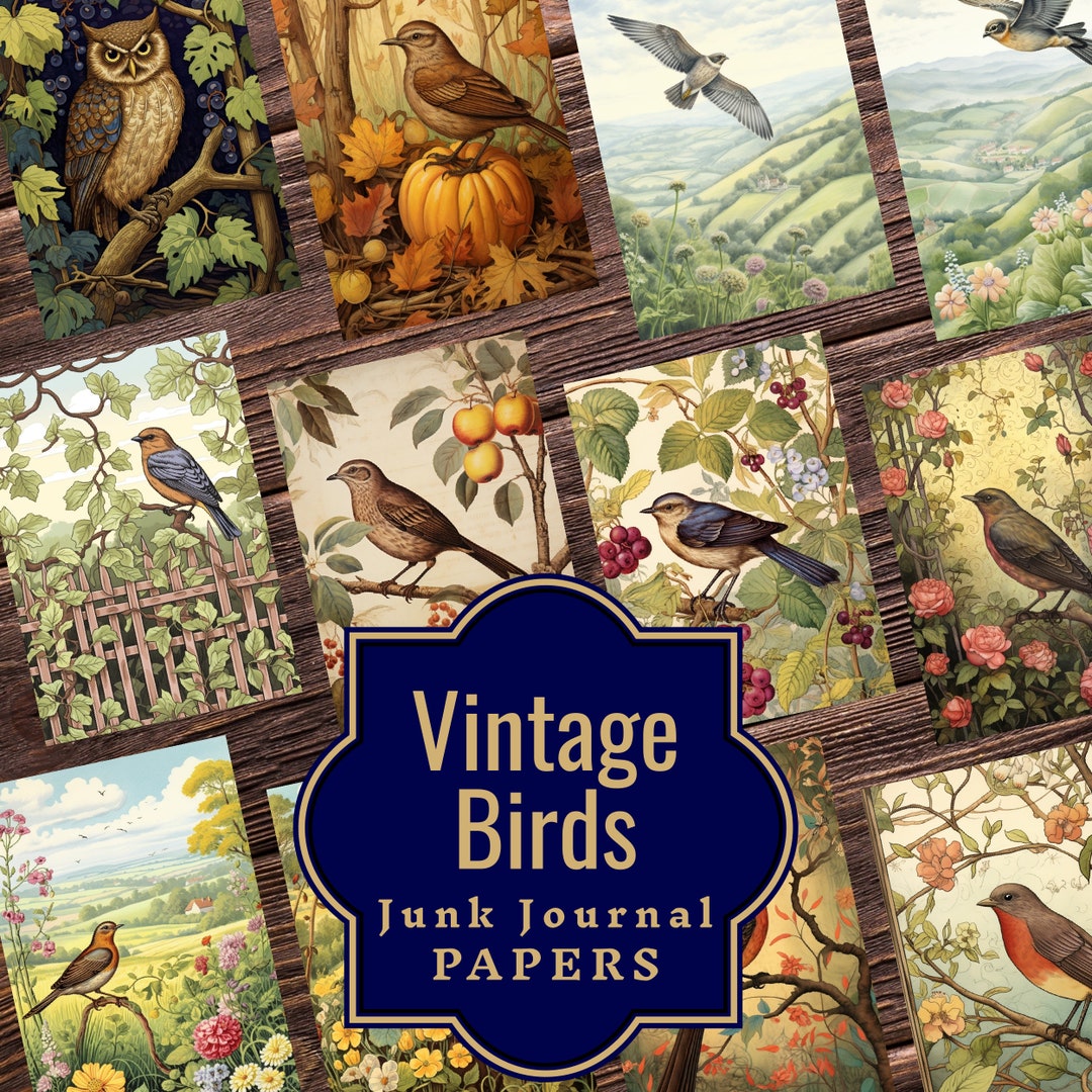 Vintage Birds Junk Journal Papers - Vintage Bird Ephemera - Digital ...