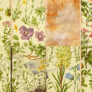 Vintage Botanical Journal Digital Paper, Antique Nature Scrapbook Pages ...
