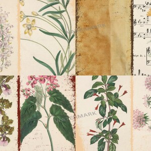 Hand-drawn Botanical Sketch Junk Journal Pages - Vintage Aesthetic for ...