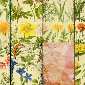 Vintage Botanical Journal Digital Paper, Antique Nature Scrapbook Pages ...