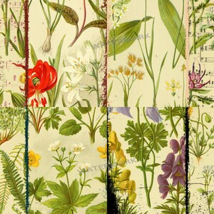 Vintage Botanical Journal Digital Paper, Antique Nature Scrapbook Pages ...