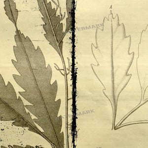 Vibrant Green Leaf Digital Paper Pack: Botanical Plant Prints for Junk ...