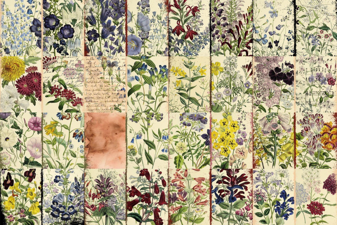 Wildflower Junk Journal Printable Papers – 24 Elegant 11" X 8.5" Floral ...