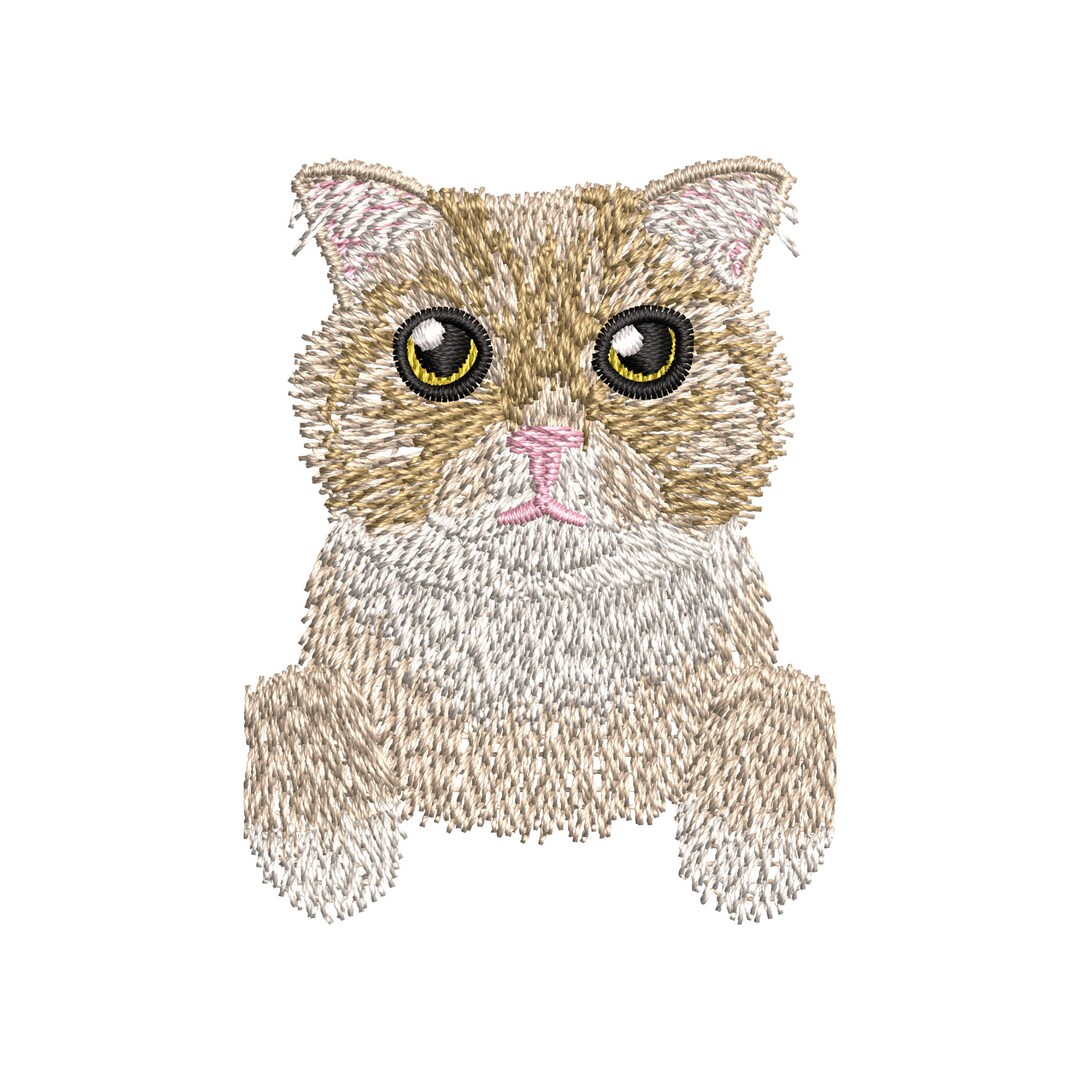 Red Tabby Cat Machine Embroidery Design - Instant Download - Etsy