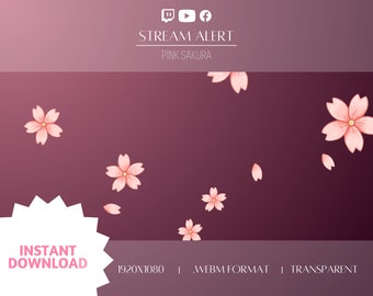 Blue Sakura Cherry Blossom Stream Alert - 1920x1080 - Animated Overlay ...
