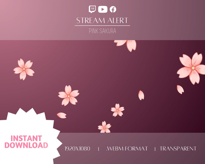 Pink Sakura Cherry Blossom Stream Alert - 1920x1080 - Animated Overlay ...