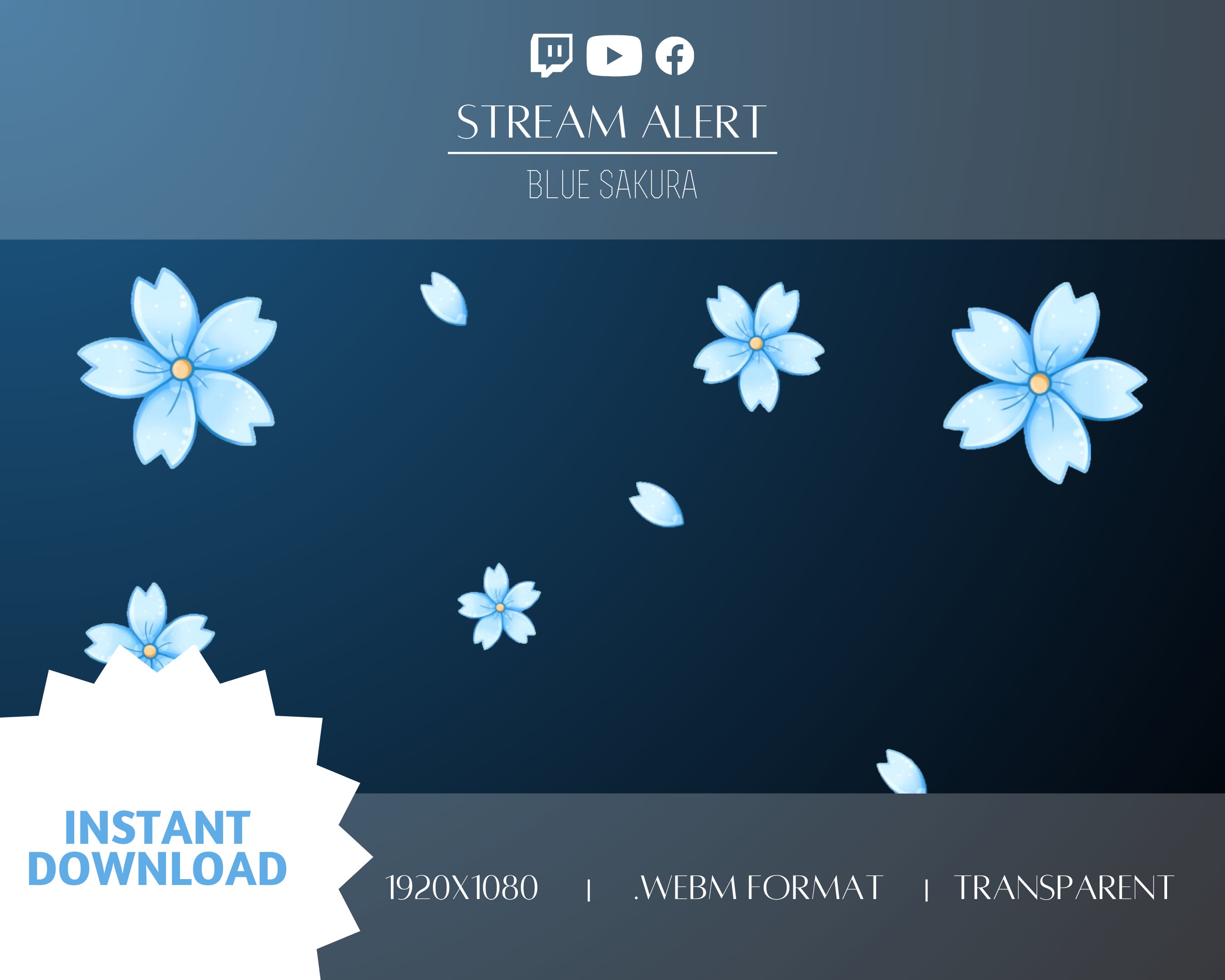 Blue Sakura Cherry Blossom Stream Alert - 1920x1080 - Animated Overlay ...