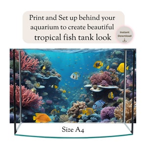Fish Tank Background Printable - Etsy