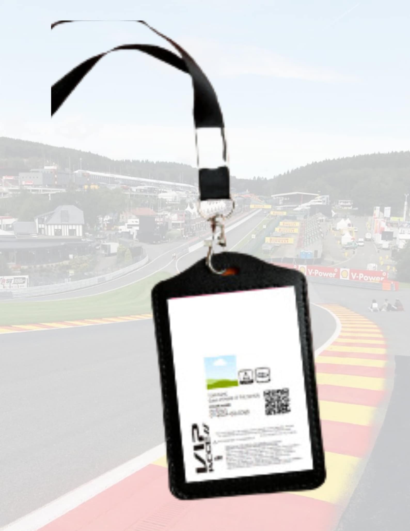 Editable F1 VIP Pass Template - Etsy UK