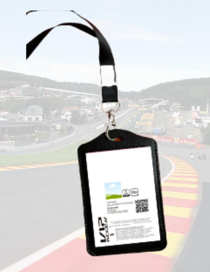 Editable F1 VIP Pass Template - Etsy UK