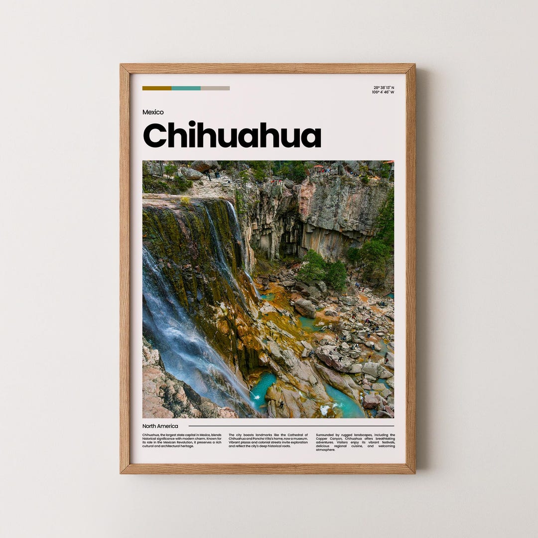 Chihuahua Poster, Chihuahua Print, Chihuahua Photo, Chihuahua Art ...