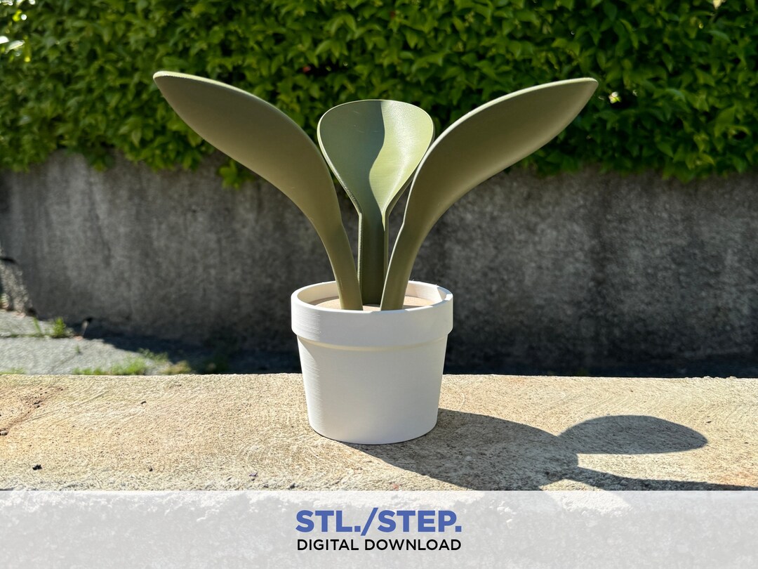 Leaflow | 3D Watering Funnel | Digital Files | 3D Funnel | 3D Digital ...