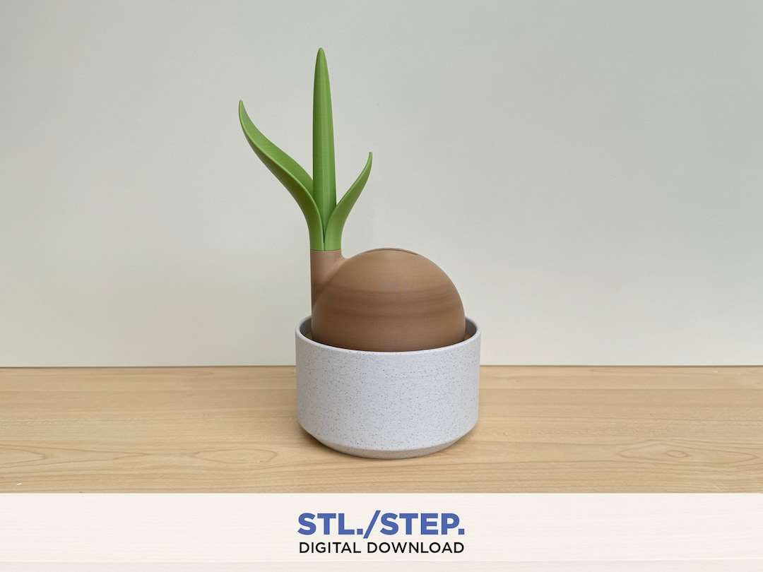 Coco | 3D Coin Bank | Digital Files | 3D Plant Pen Money Bank | 3D ...